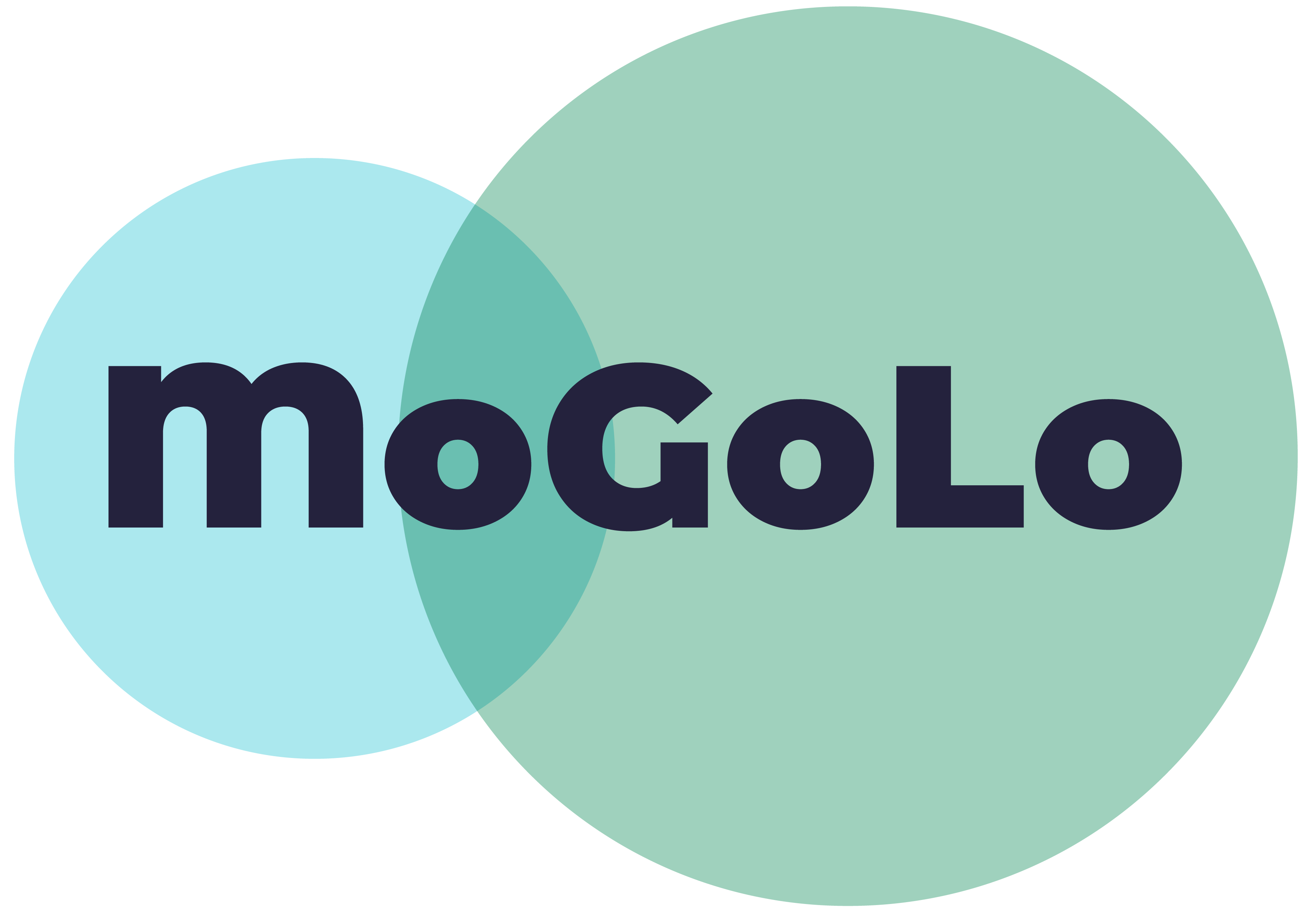 MoGoLo - Mobility of Goods and Logistics - HOOU