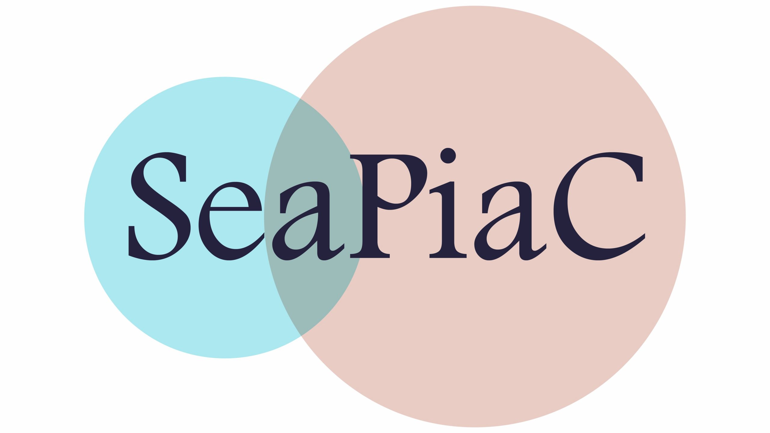 SeaPiaC - Sustainable Nature-based Coastal Protection in a Changing ...